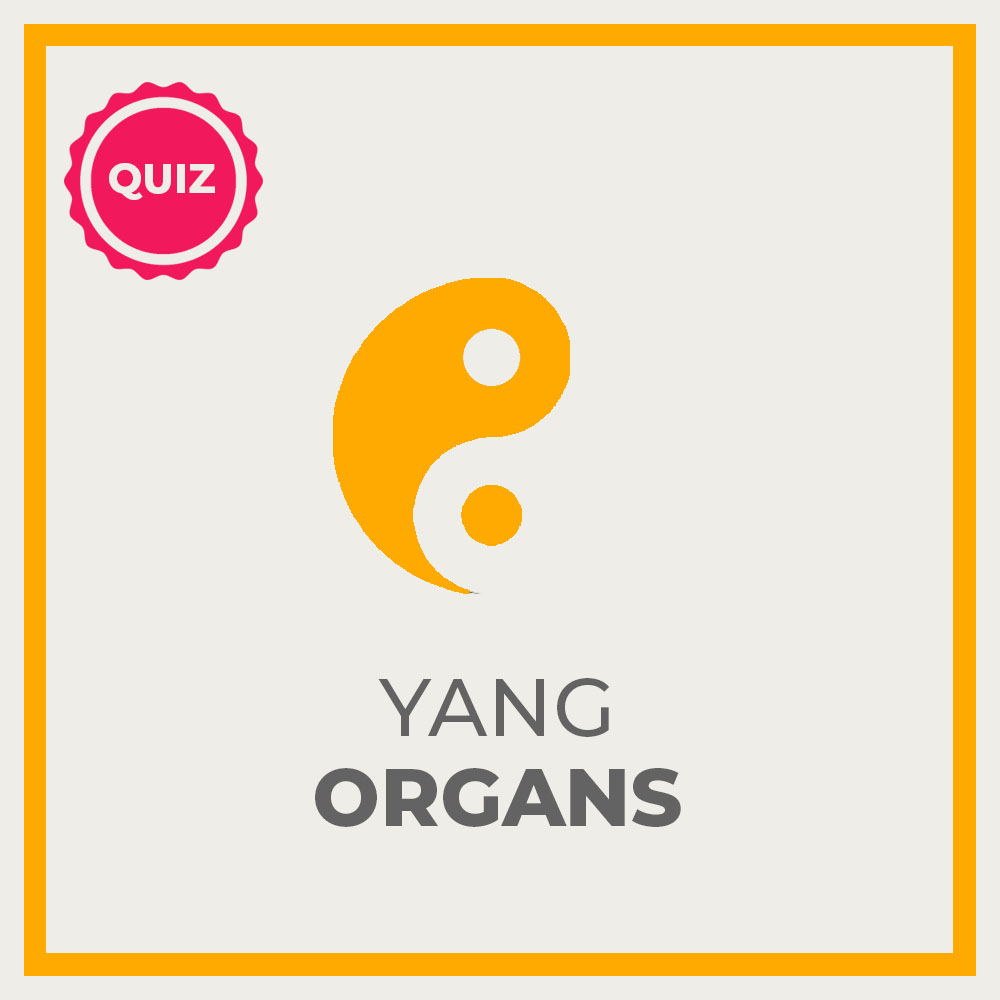 Yang Organs Quiz - TCM STUDY GUIDE